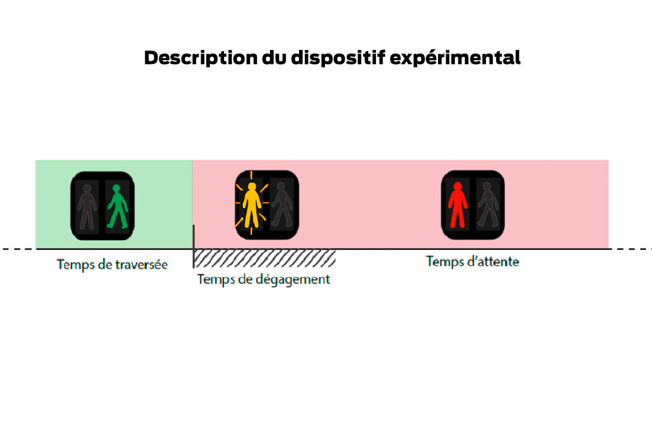 Sécurité routière. De nouveaux feux piétons expérimentés dans 7 grandes ...