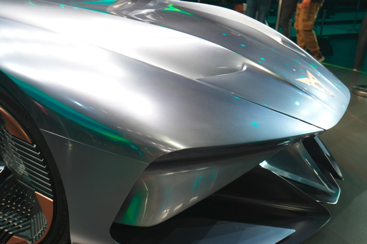 Photo 10 - Le museau pointu peut faire penser à celui d'une voiture de ...