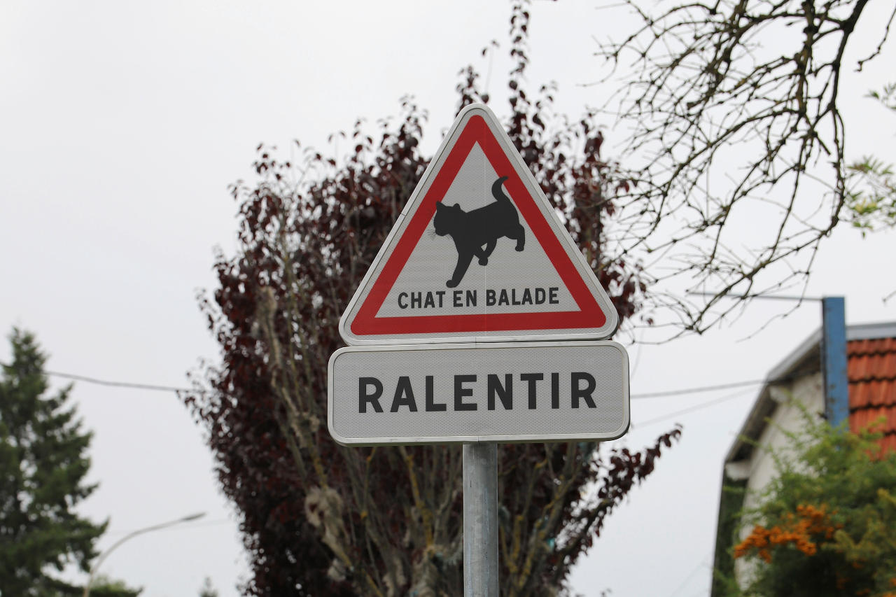 Photo 1 - La ville de Mennecy dans l Essonne vient de faire installer ...