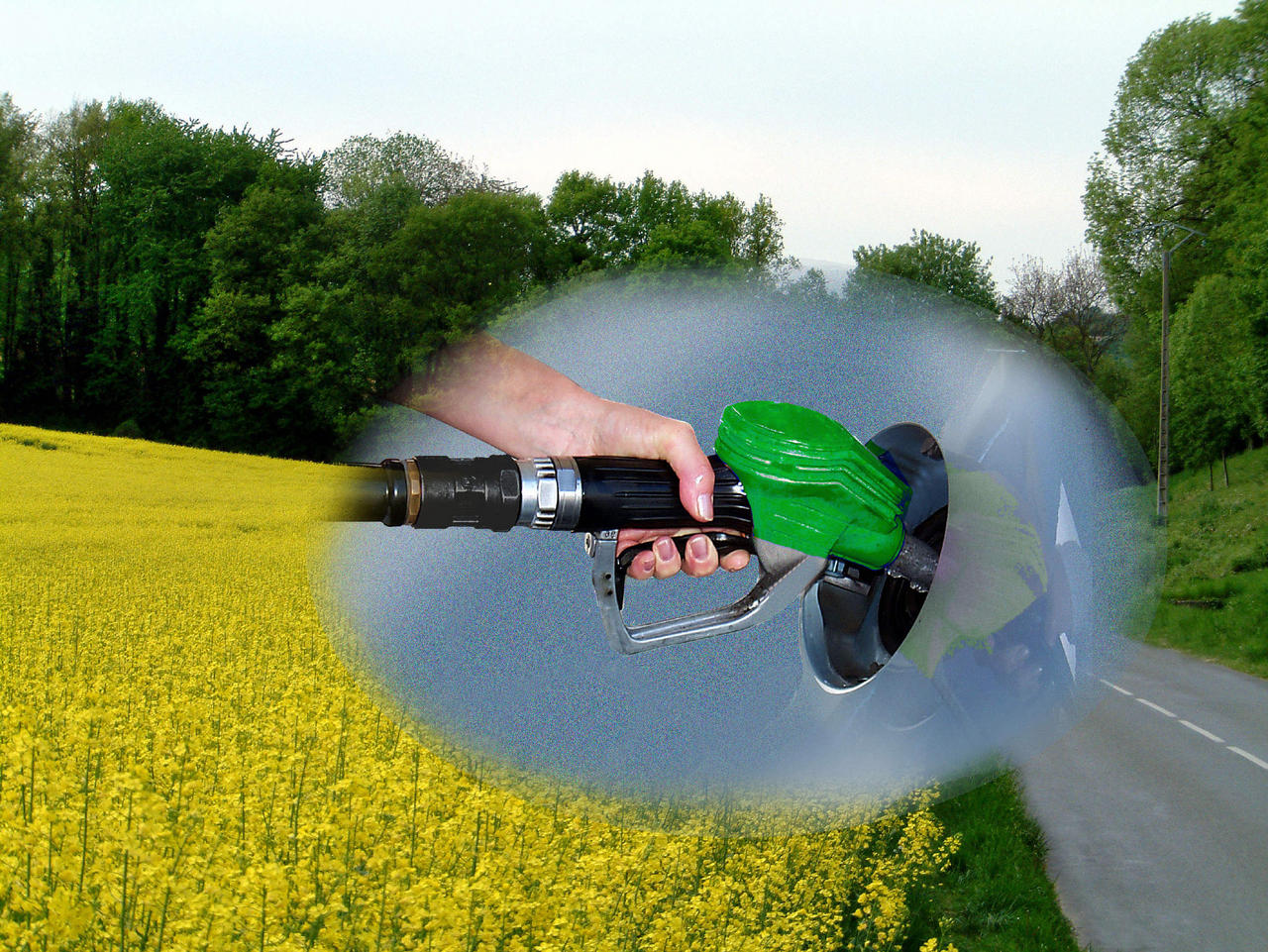 Photo 1 - Biocarburants : quels impacts