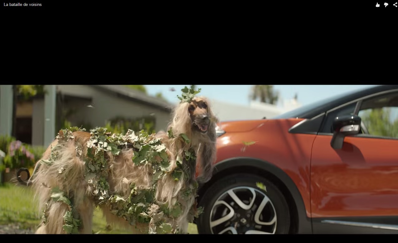 Diaporama et photos - Les Easy Pack Renault font un carton | L'Argus