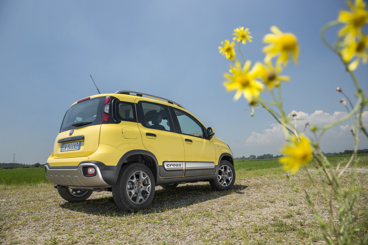 Essai Fiat Panda Cross : la Panda 4x4 qui grimpe aux arbres
