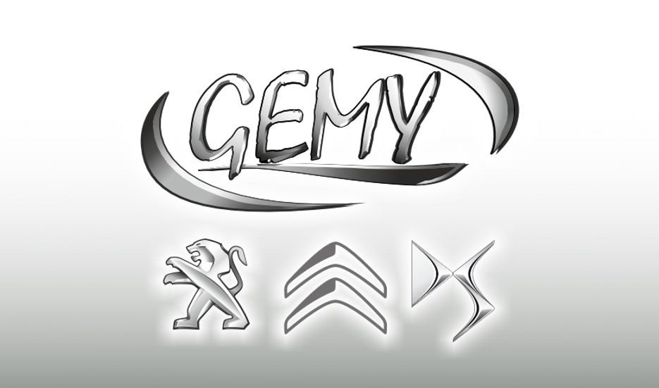 Vague de nominations au sein du groupe Gemy