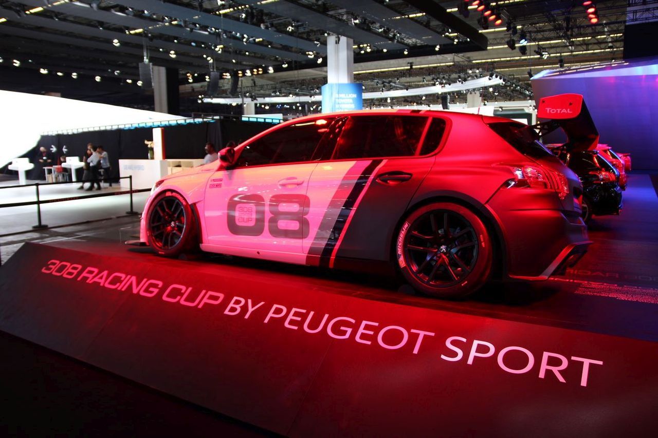 Peugeot 308 Racing Cup : un fauve sur la piste - Photo #17 - L'argus