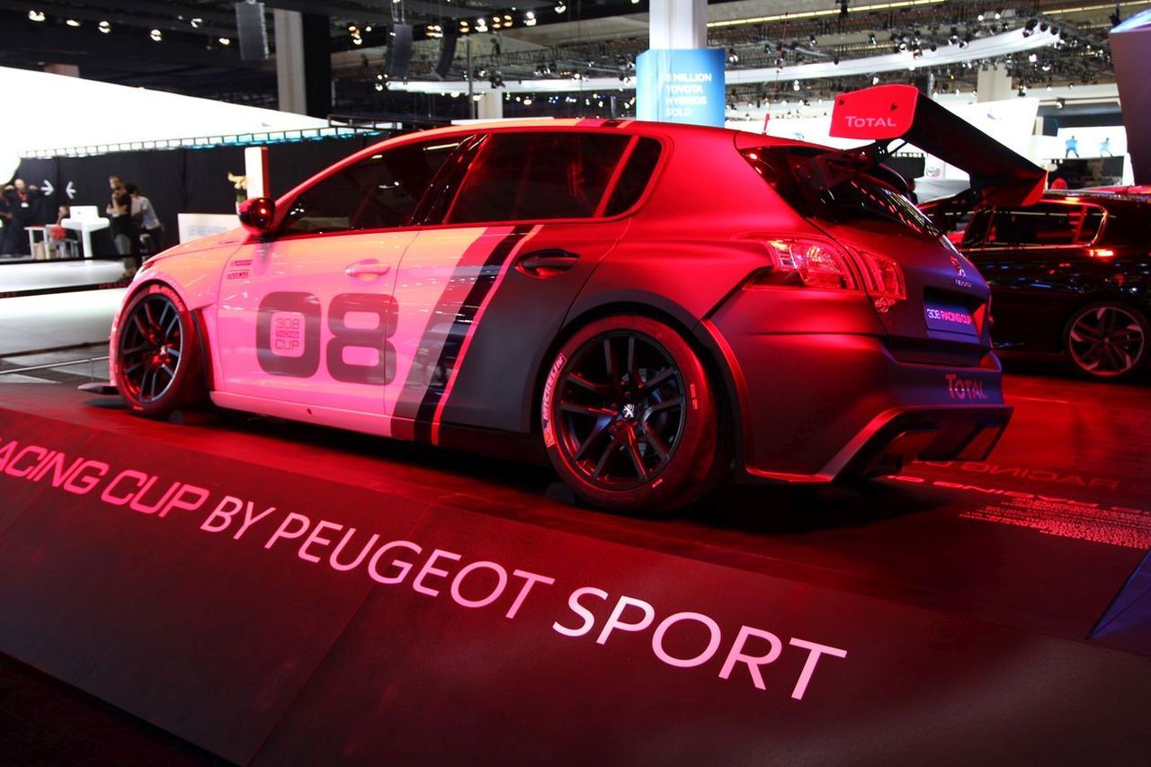 Peugeot 308 Racing Cup : un fauve sur la piste - Photo #19 - L'argus