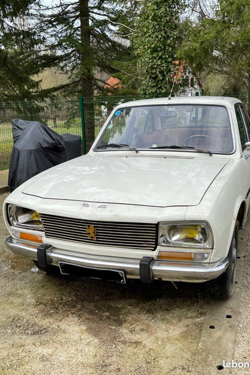 Photo 28 - peugeot 504 ti - Sorties de grange. Les pépites du printemps