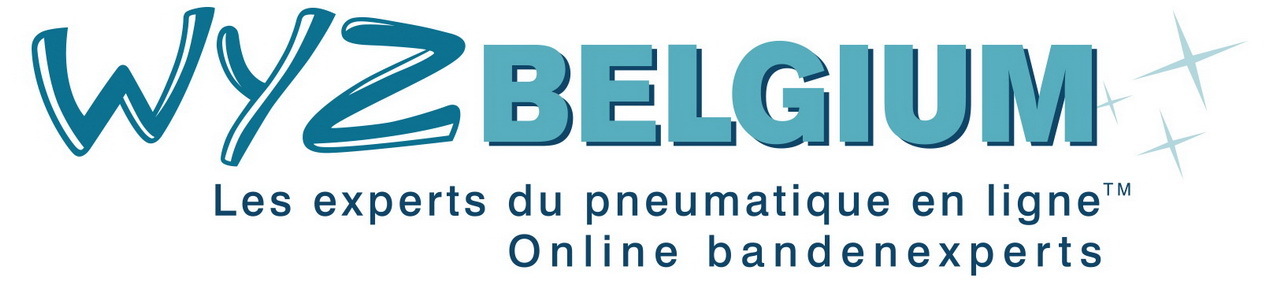 Diaporama et photos - Pneu WYZ confirme sa croissance | L'Argus