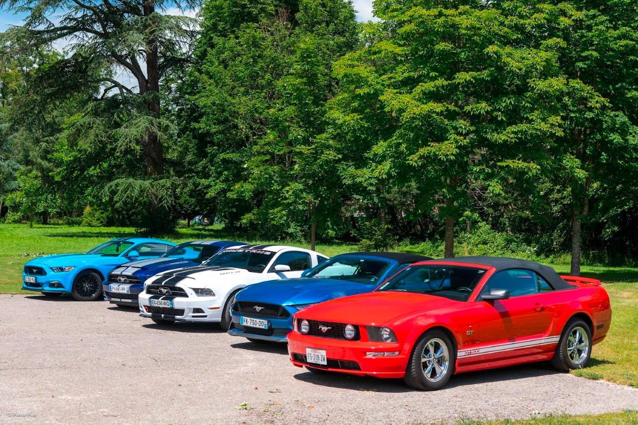 Diaporama et photos - Ford Mustang. La muscle car fête ses 60 ans lors ...