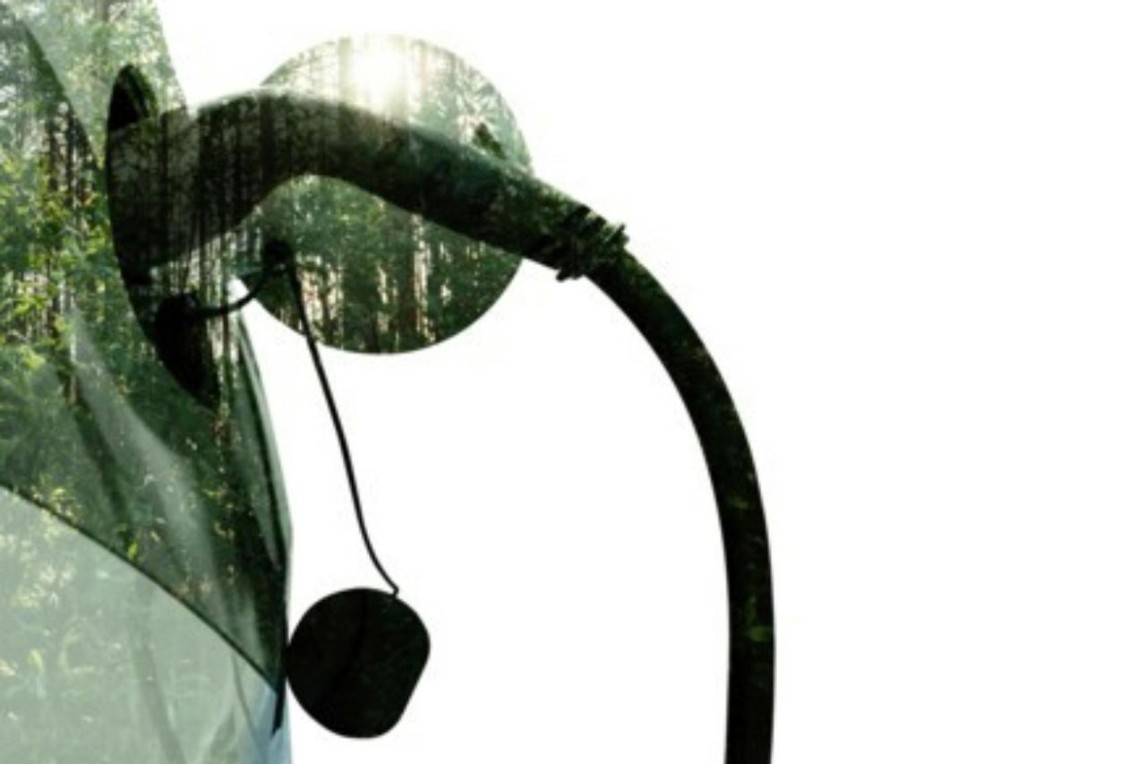 Photo 2 - credit agricole auto bank - Crédit Agricole Auto Bank fête ...