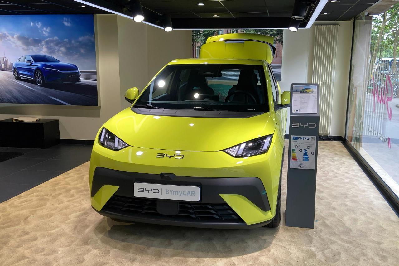 Photo 2 - BYD Dolphin Surf - Pour Bymycar, le réseau est l'une des clés ...