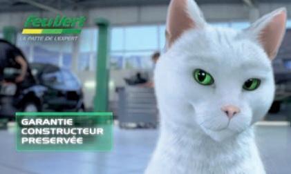 Diaporama et photos - Feu Vert part en campagne | L'Argus