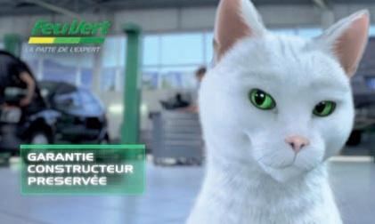 Feu Vert part en campagne