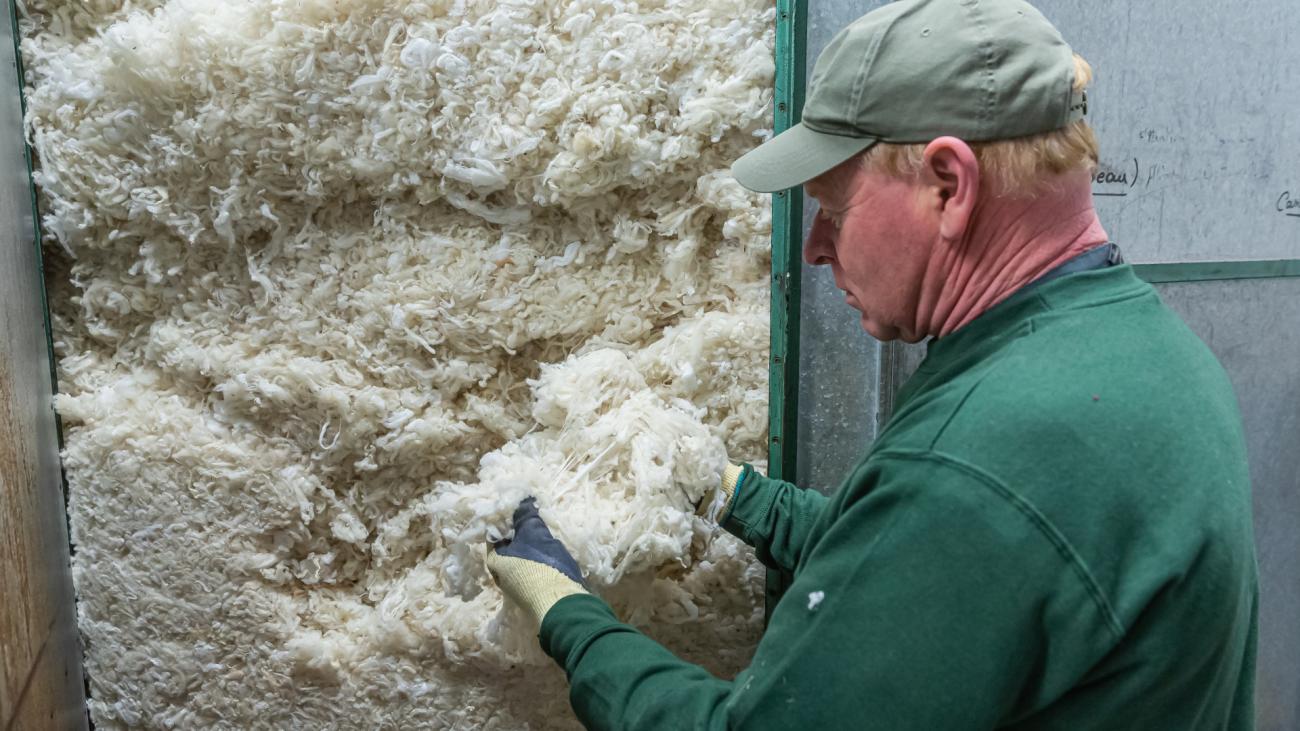 Photo 16 - Défibrage des textiles pre et post-consumer - La Renault Zoé ...