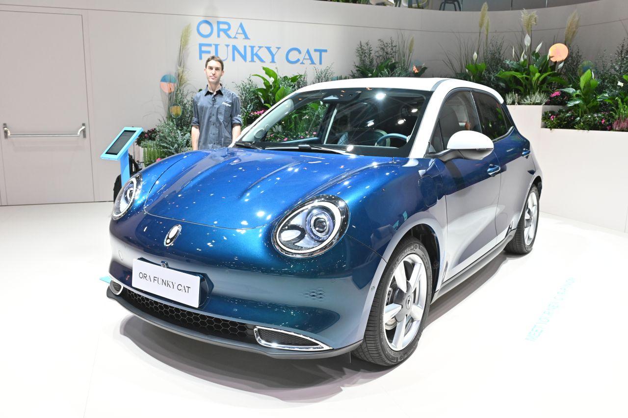 Diaporama et photos - Ora Funky Cat (2022). À bord de la cousine ...