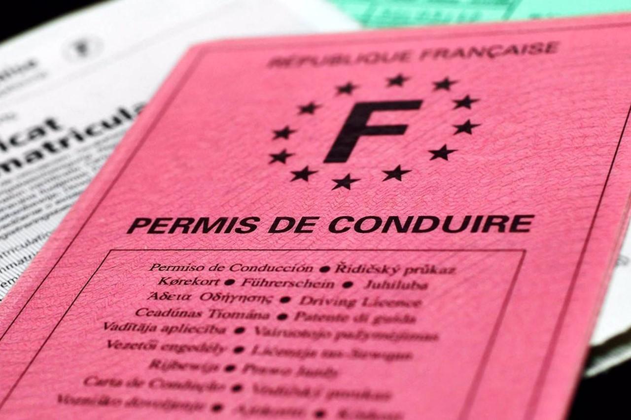 Photo 4 - permis de conduire rose papier - Permis de conduire. Un ...